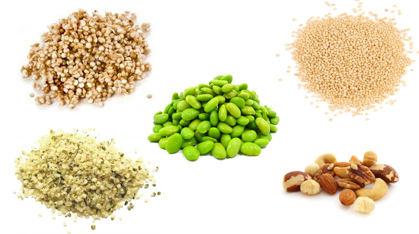 Plantaardige eiwitten | Muscle Concepts