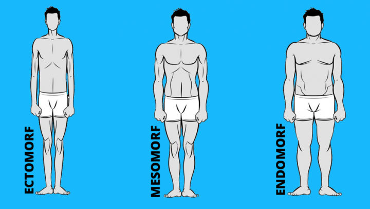 Wat is jouw lichaamstype?| Muscle Concepts